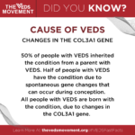 VEDS Quick Facts - The VEDS Movement